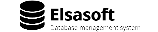 Els@Soft - Database Management System Blog